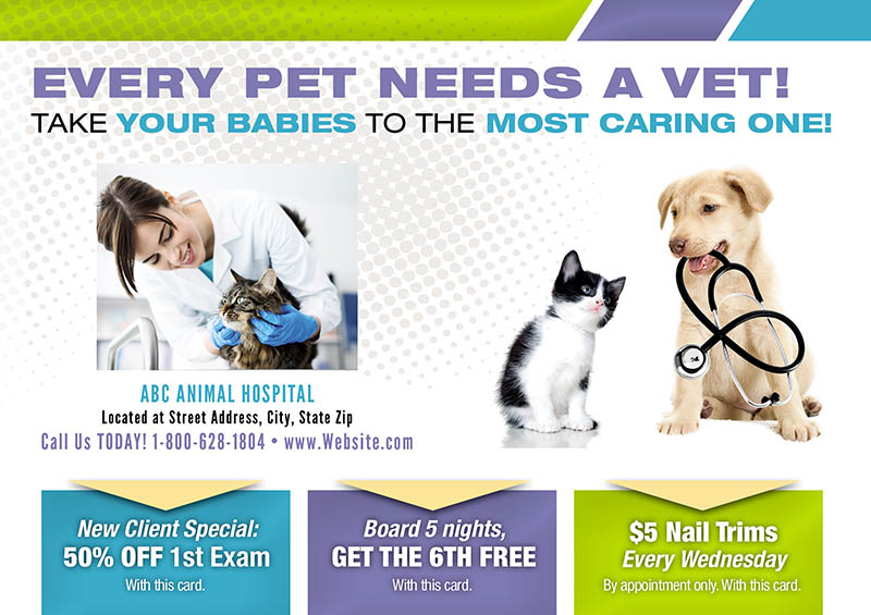 Veterinarian 4.25"x6" Postcards | Customizable Direct Mailers ...